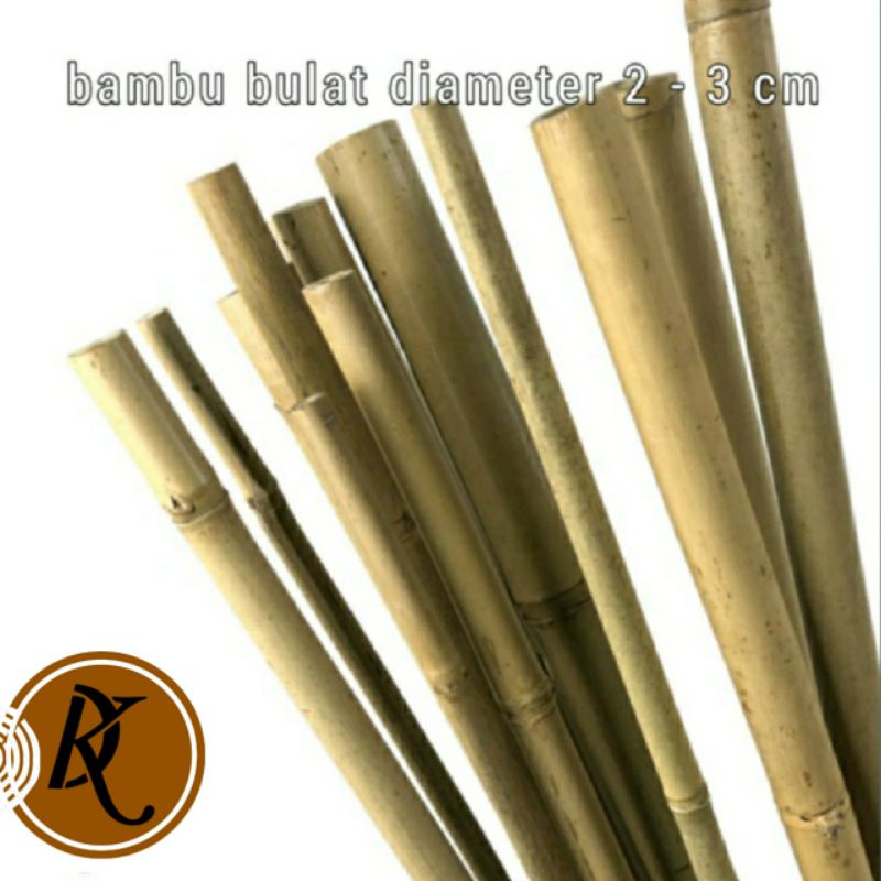 Jual Bambu kering bulat diameter 2 - 3 cm panjang (30-100)cm "bisa ...