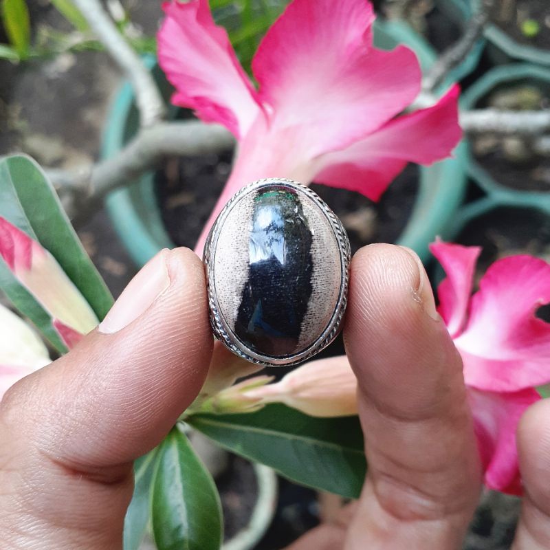 Jual Batu Fosil Kayu Kelor Kendit | Shopee Indonesia