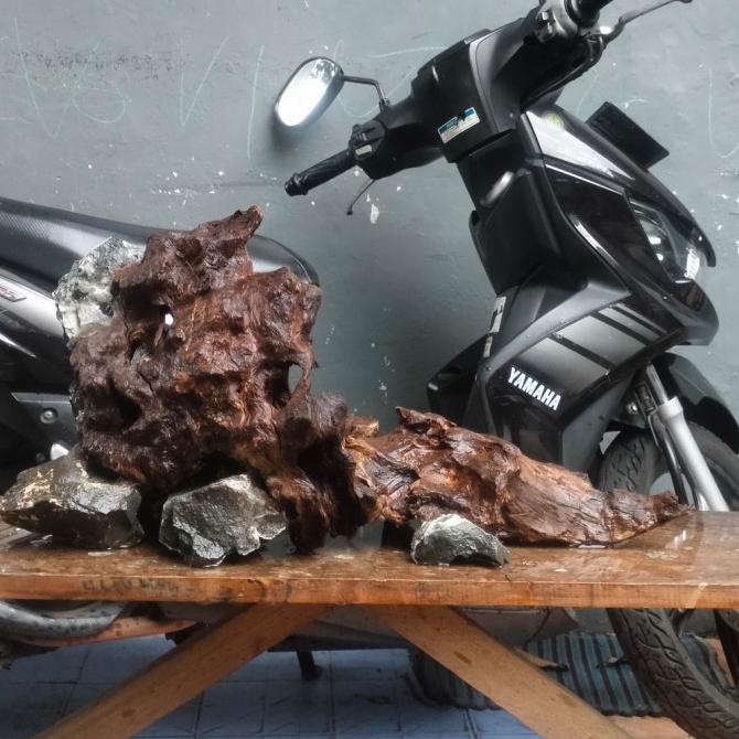 Jual bonsai aquascape tema bongol jumbo panjang 60x35 tema natural ...