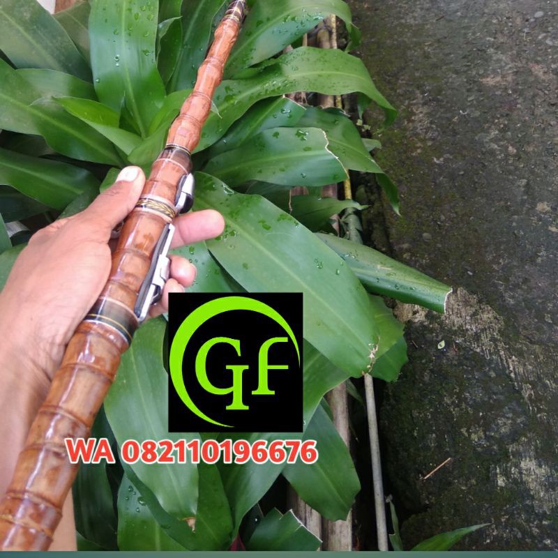 Jual Joran pancing bambu cendani one piece | Shopee Indonesia