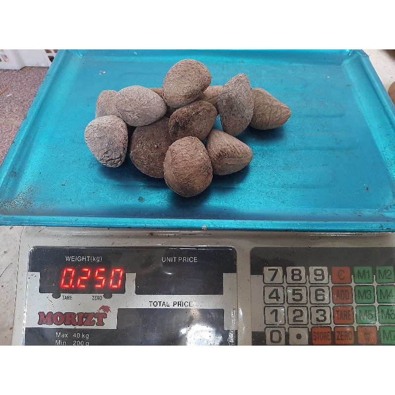 Jual Kluwek 250 Gram | Shopee Indonesia