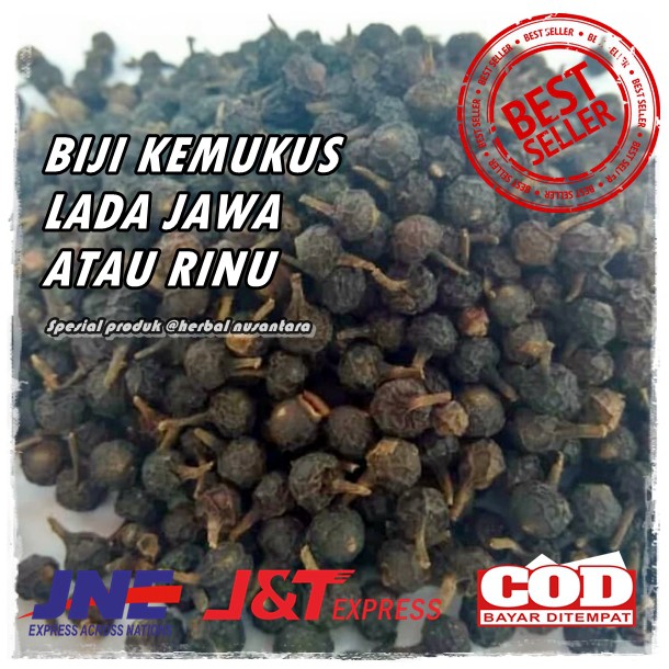 Jual Biji Kemukus lada jawa Rinu Piper cubeba Kering dari hutan ...