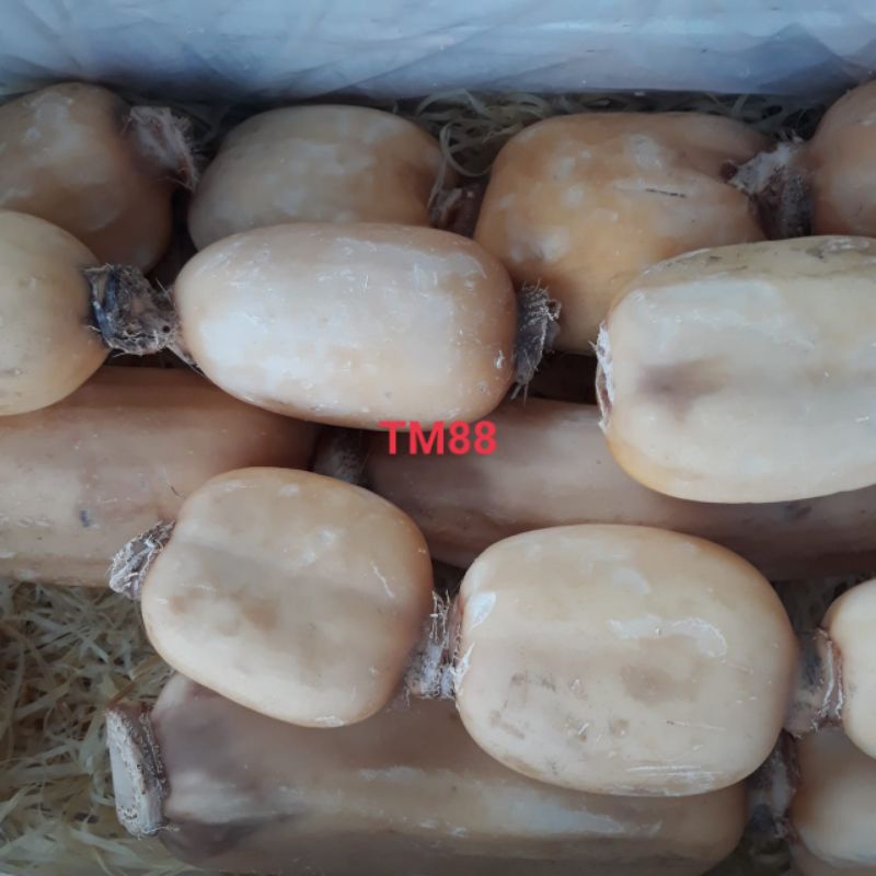 Jual AKAR TERATAI/LOTUS ROOT PREMIUM | Shopee Indonesia