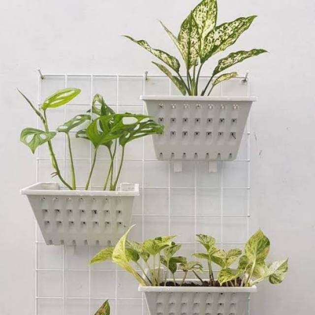 Jual POT ARGO 01 02 | POT KAIT GANTUNG MERAMBAT | Shopee Indonesia