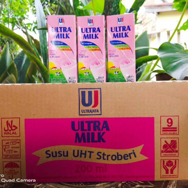 Jual Ultra Milk Strawberry 200ml ED December 2024 | Shopee Indonesia