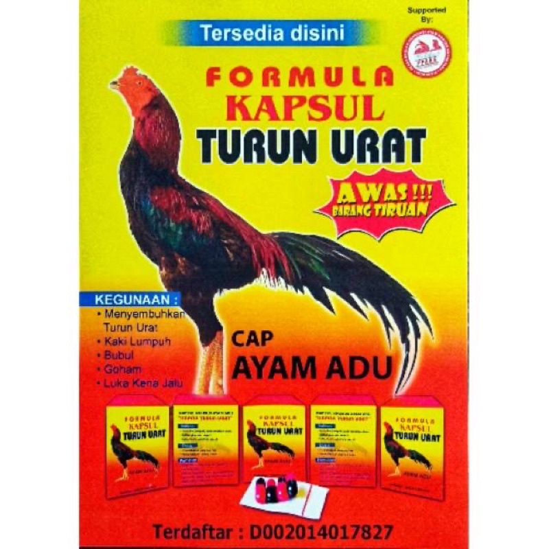 Jual kapsul turun urat ayam aduan | Shopee Indonesia