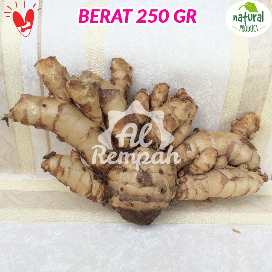 Jual Temu Ireng - Temu Hitam Segar 250 gr - Gunung Kidul | Shopee Indonesia