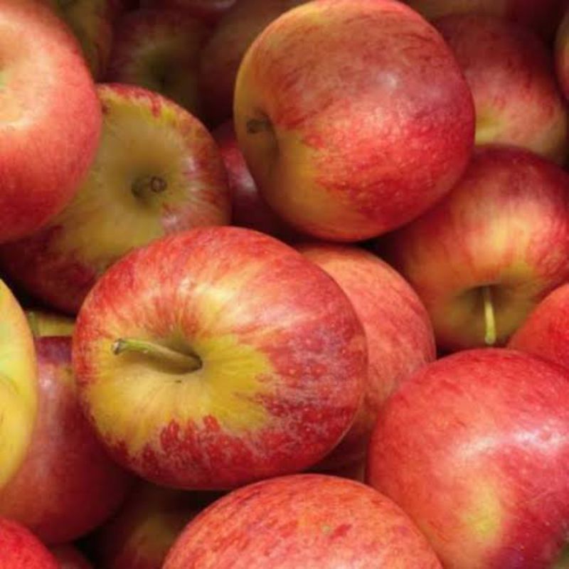 Jual Apel Royal Gala / 1 buah / 1kg | Shopee Indonesia