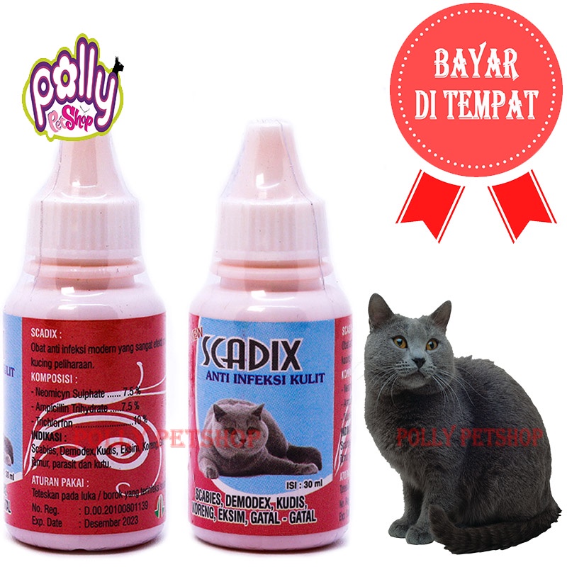 Jual OBAT JAMUR KORENG KUCING SCABIES ANAK KUCING KITTEN SCADIX CAT ...
