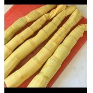 Jual Rebung Rebus Segar 500 gram | Shopee Indonesia