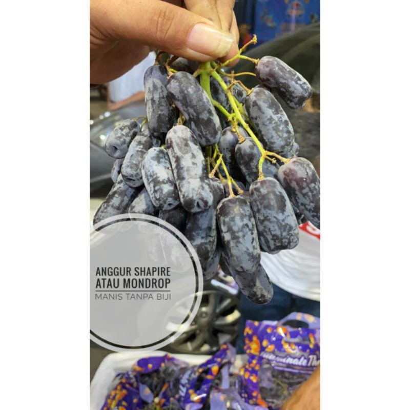 Jual Buah anggur black sapphire moondrop fresh | Shopee Indonesia