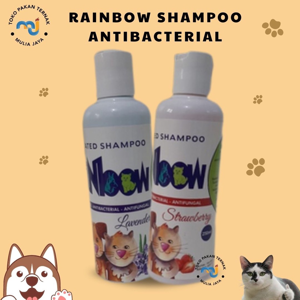 Jual Rainbow Medicated Shampoo ALL IN ONE ( Anti Kutu, Anti Jamur ...