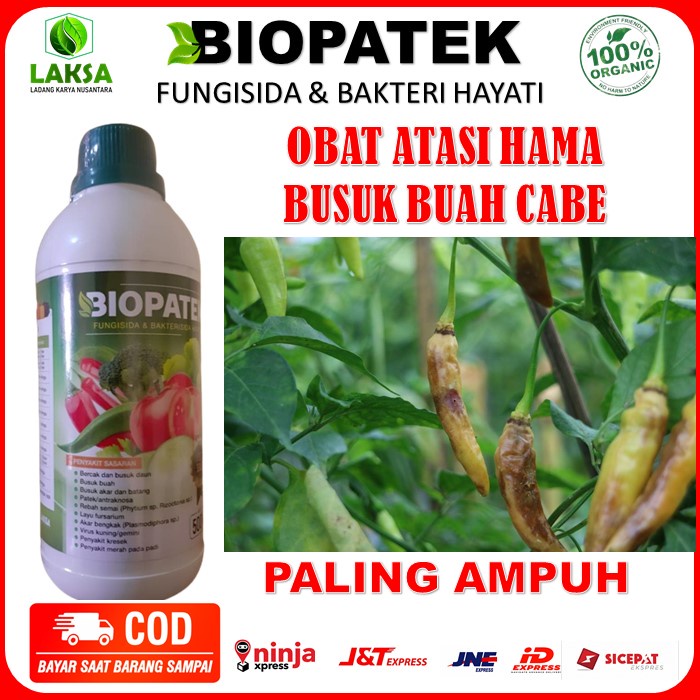 Jual "Obat Semprot Tanaman Cabe BIOPATEK, Atasi Busuk Buah Cabe, Layu ...