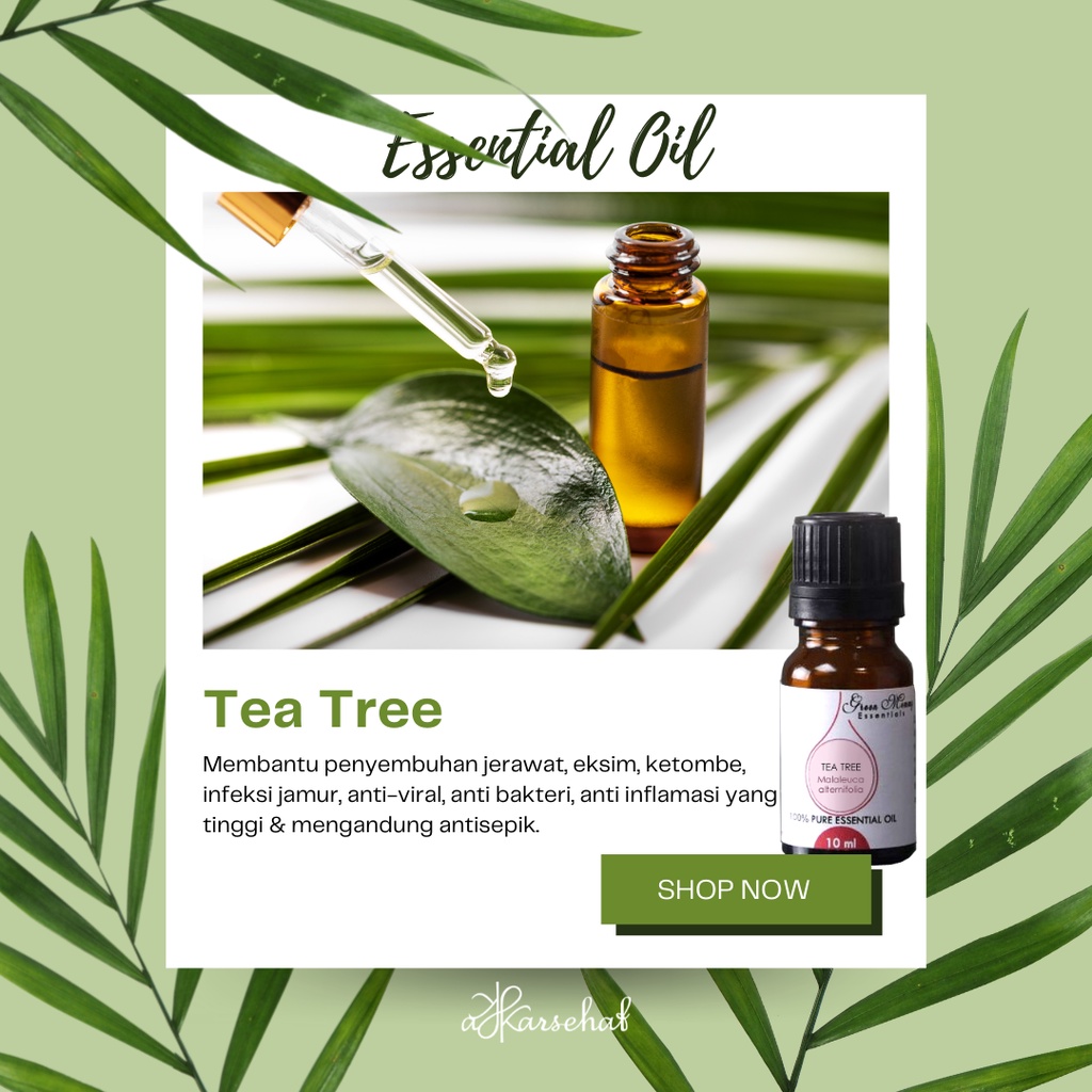 Jual Tea Tree Essential Oil/Minyak Atsiri/Aromaterapi Daun Teh GMS 5-10 ...