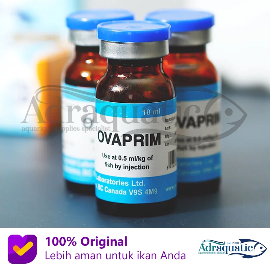 Jual OVAPRIM SYNDEL 10ML HORMON OBAT PEMIJAHAN IKAN HIAS AQUARIUM ...