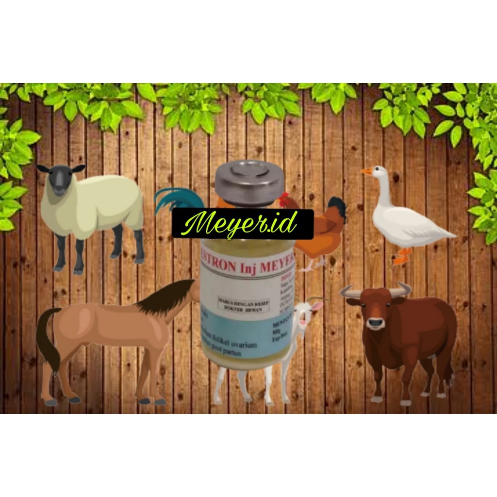 Jual Estron Inj Meyer 20ML - obat birahi untuk hewan peliharaan (betina ...