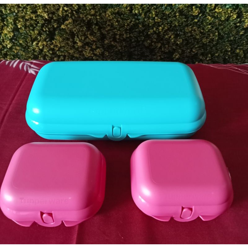 Jual large oyster tupperware | Shopee Indonesia