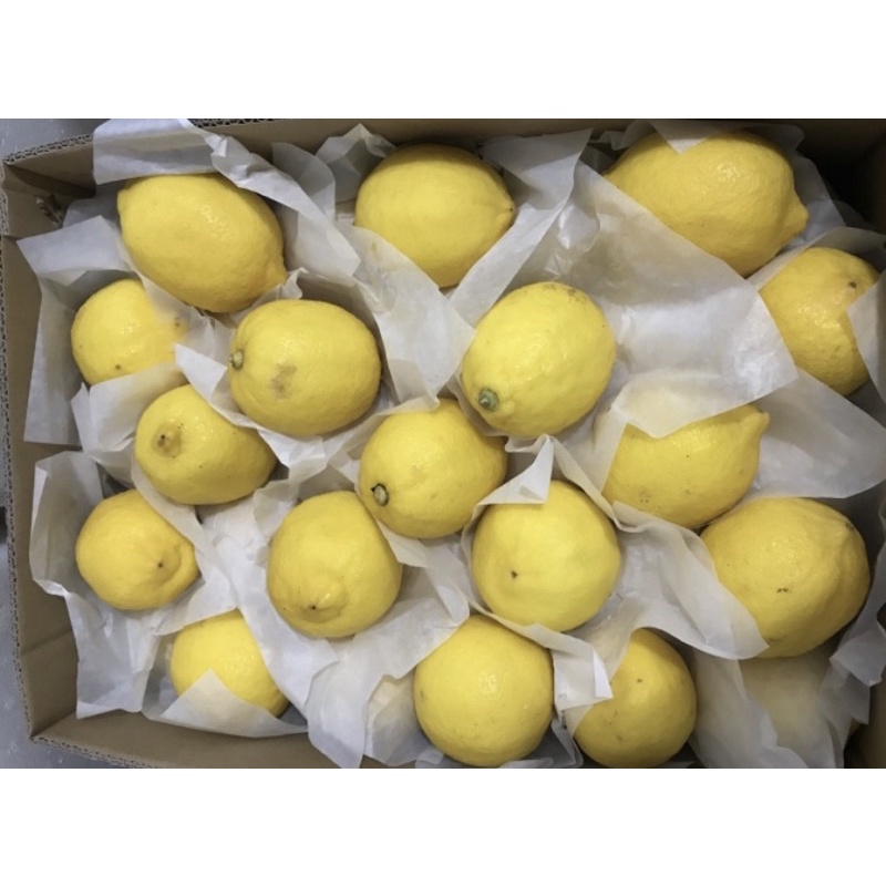 Jual Lemon Import Cina 1 Dus | Shopee Indonesia