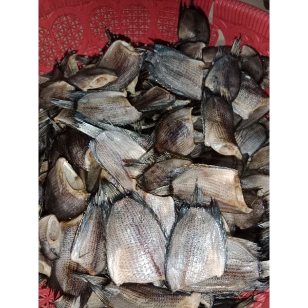 Jual ikan tembakang/biawan/tiakang | Shopee Indonesia