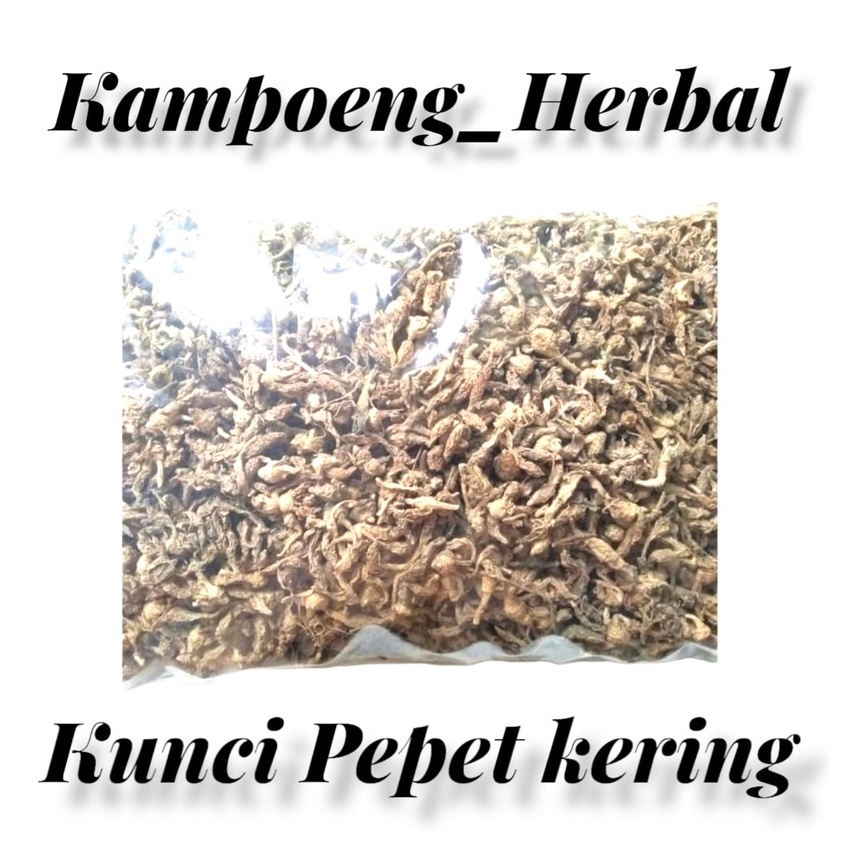 Jual Temu kunci pepet kering 1 kg - temu rapet | Shopee Indonesia