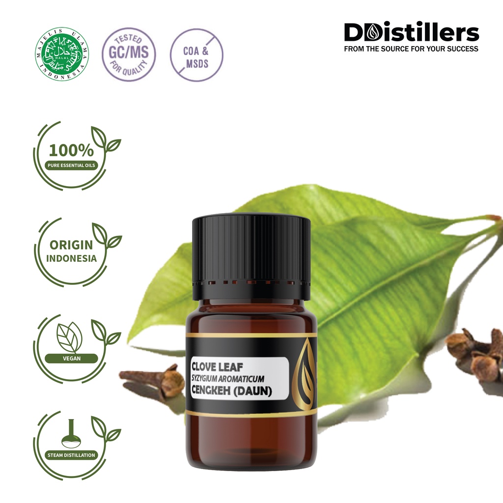 Jual Clove Leaf / Daun Cengkeh Essential Oil Pure 100%, 2-10ML GS | Shopee Indonesia