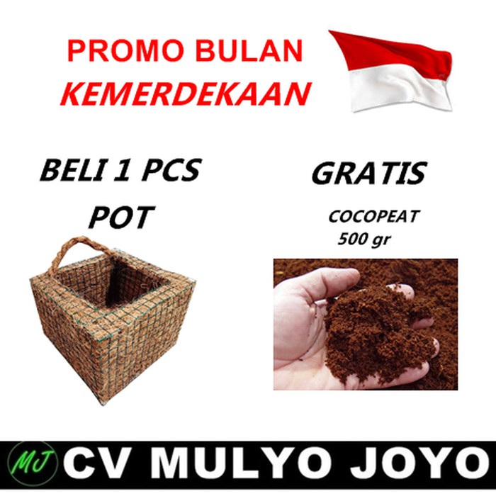 Jual Pot Bunga Tempel Dinding Serabut Kelapa Kawat Kotak cocopeat ...