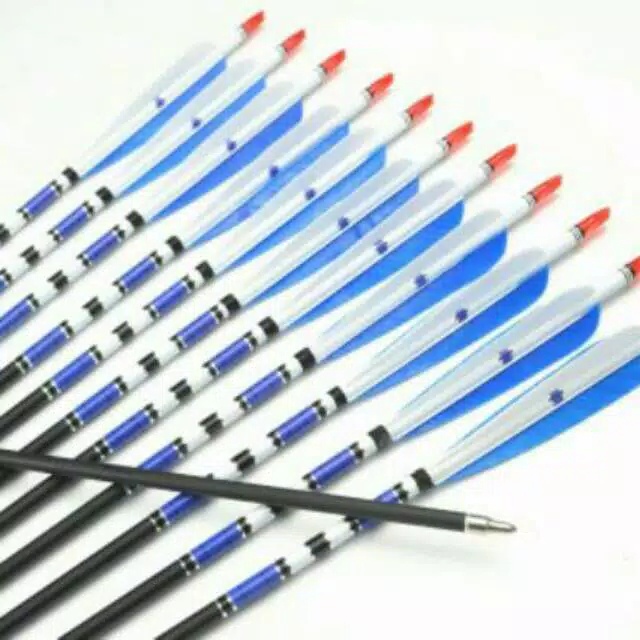 Jual panahanak- arrow carbon keren dan cantik vanes bulu kalkun -anak ...