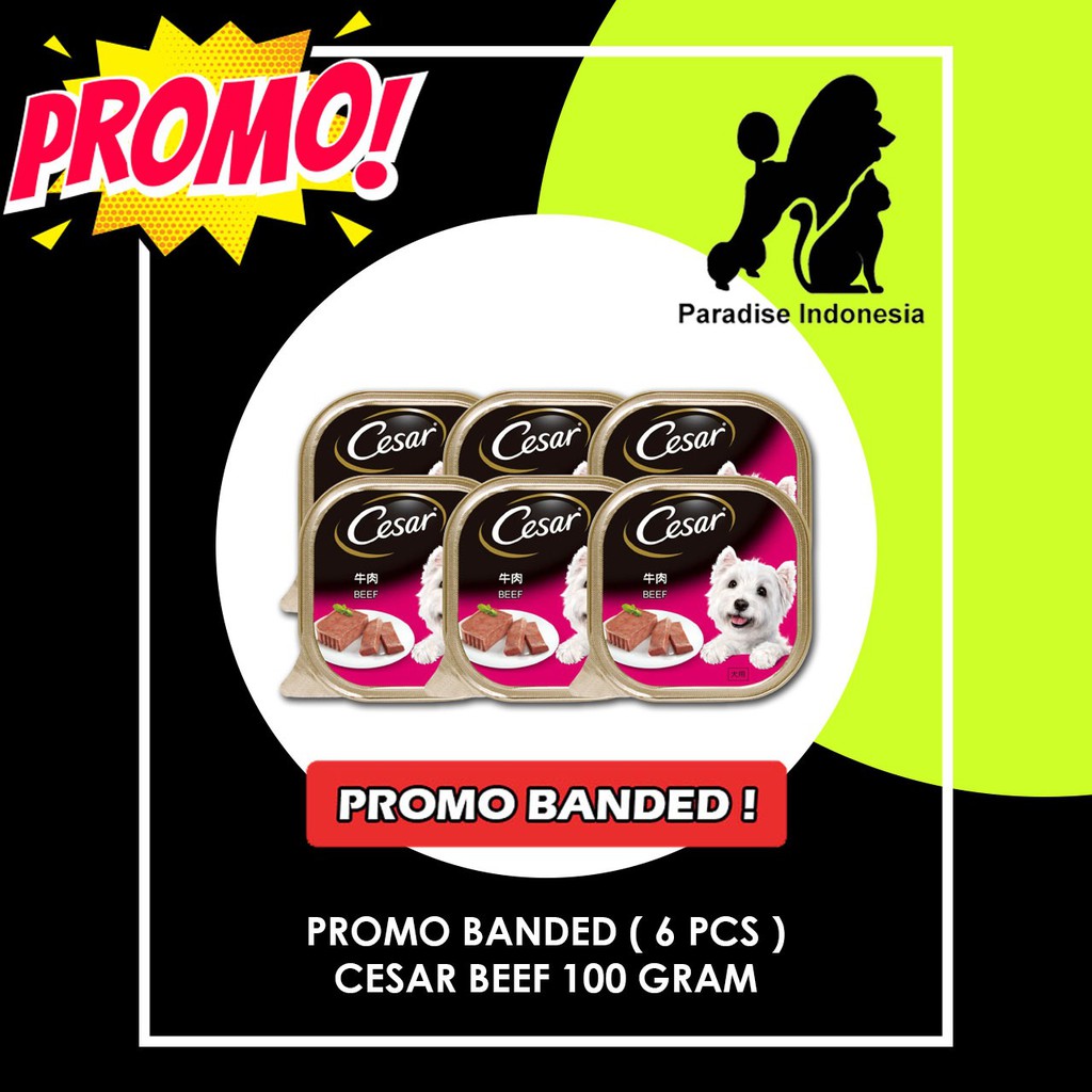 Jual PROMO Cesar Beef 100gr ( BANDED 6 Pcs ) | Shopee Indonesia