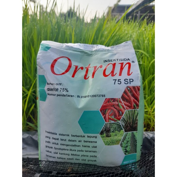 Jual Insektida Ortran 75 SP 250gr Asefat 75% | Shopee Indonesia
