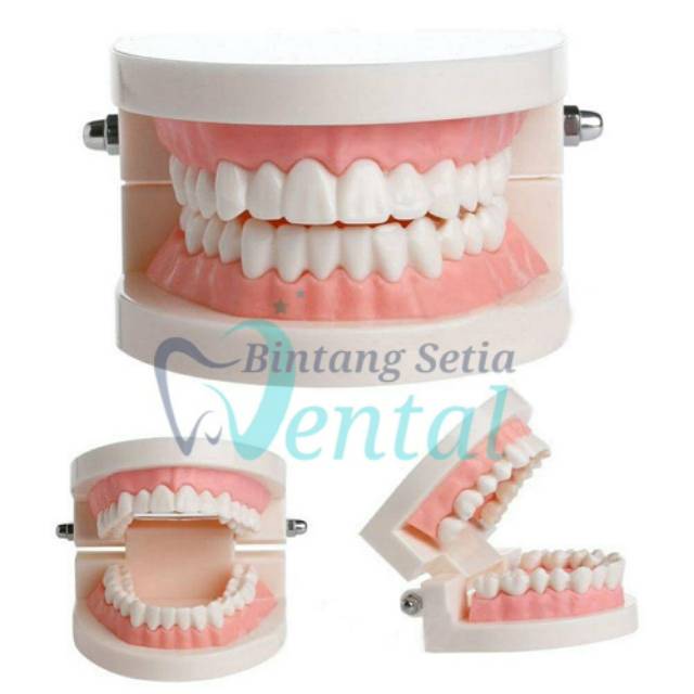 Jual MODEL GIGI | Shopee Indonesia