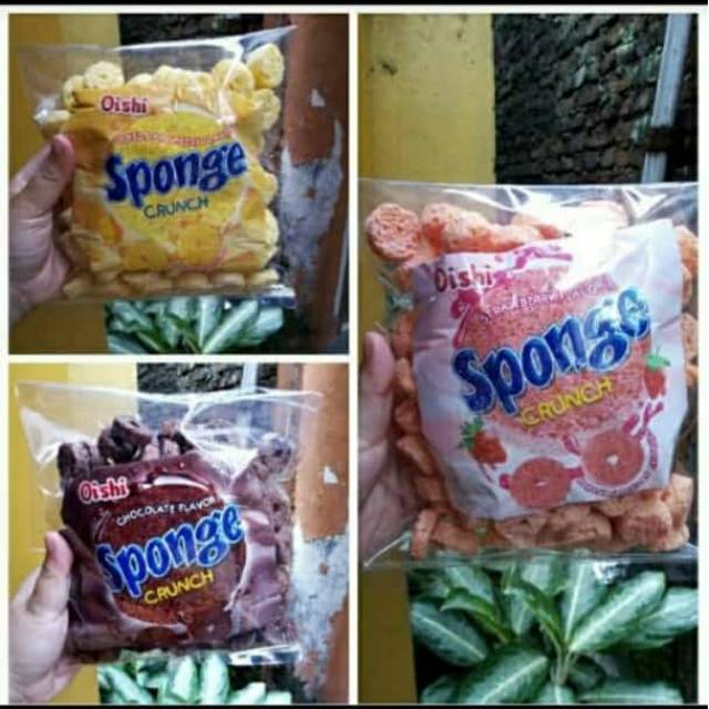 Jual Sponge chiki 250 gram | Shopee Indonesia