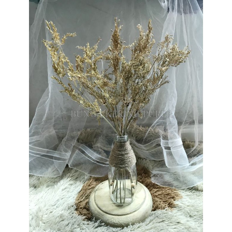 Jual 12 bunga teki kering / bunga kering dekorasi / bunga kering rumput ...