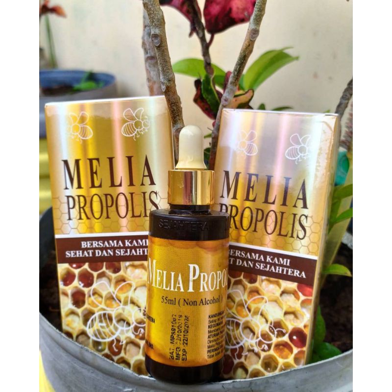 Jual MELIA PROPOLIS ASLI 100% | Shopee Indonesia