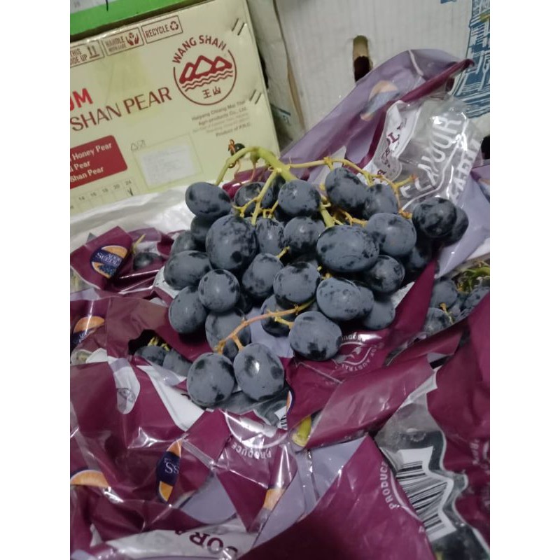 Jual Anggur Hitam Andorra Seedless Grappes | Shopee Indonesia