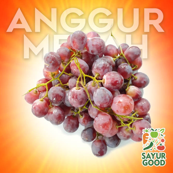 Jual Buah Anggur Merah Segar / Anggur Merah Red Globe Seeds Fresh 1 Kg ...