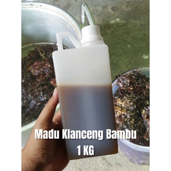 Jual Madu lanceng murni klanceng trigona kelanceng 1 kilo 100% asli ...