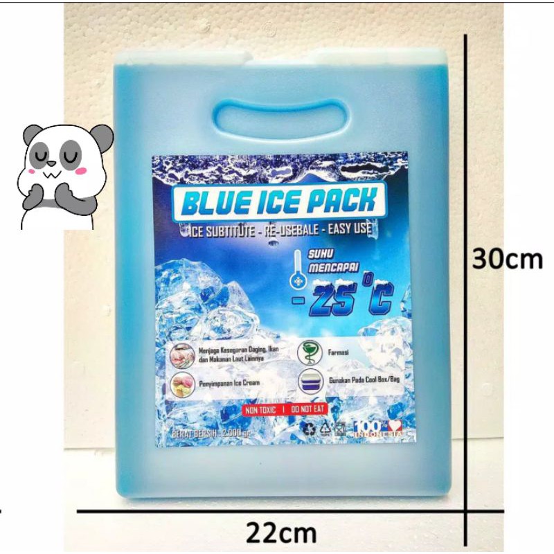 Jual ICE PACK besar 30*20*3cm | Shopee Indonesia