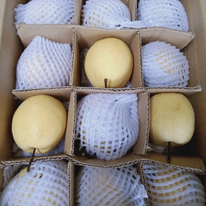 Jual PEAR MADU / SWEET PEAR | Shopee Indonesia
