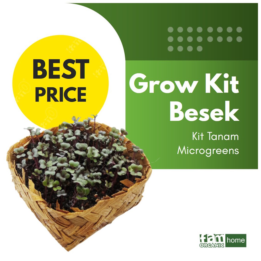 Jual Kit Menanam Microgreen / Paket Microgreens Besek Pemula Murah ...