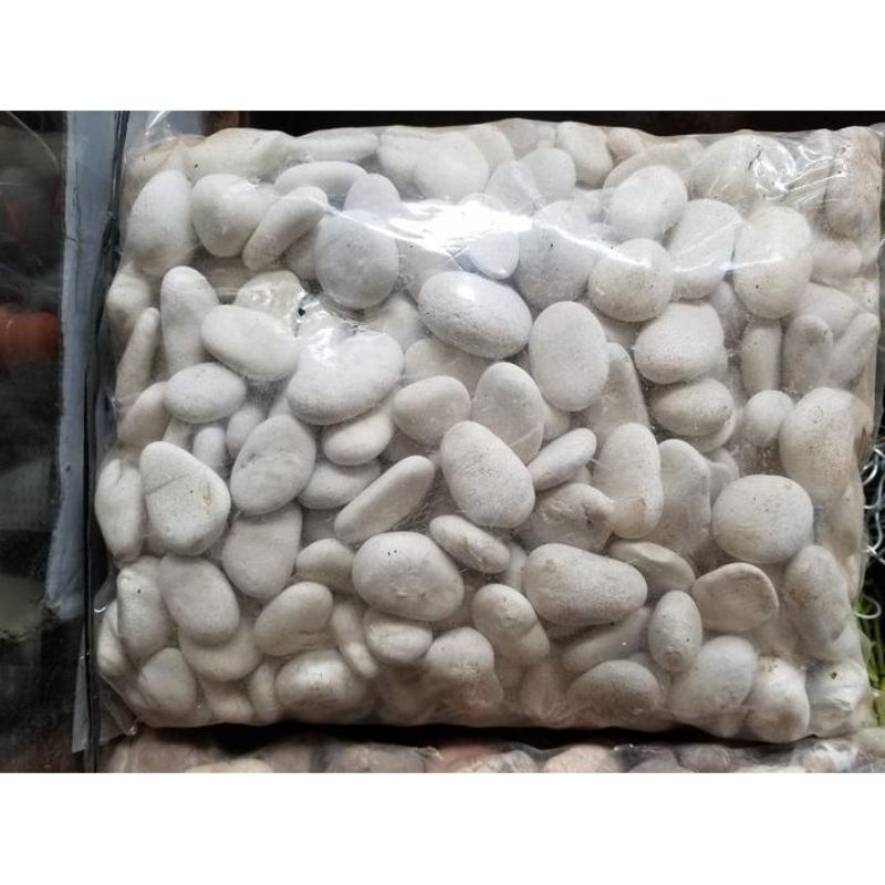 Jual Batu Hias Coral Putih Besar 1Kg 100% Original putih Luar Dalam ...