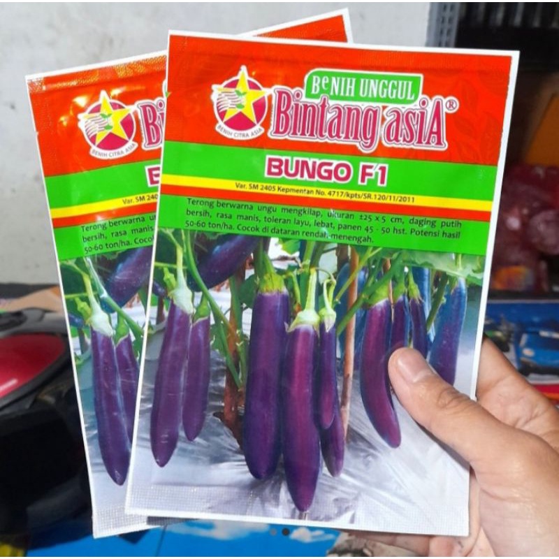 Jual benih bibit terong ungu bungo f1 5gram bintang asia kemasan asli 100% | Shopee Indonesia