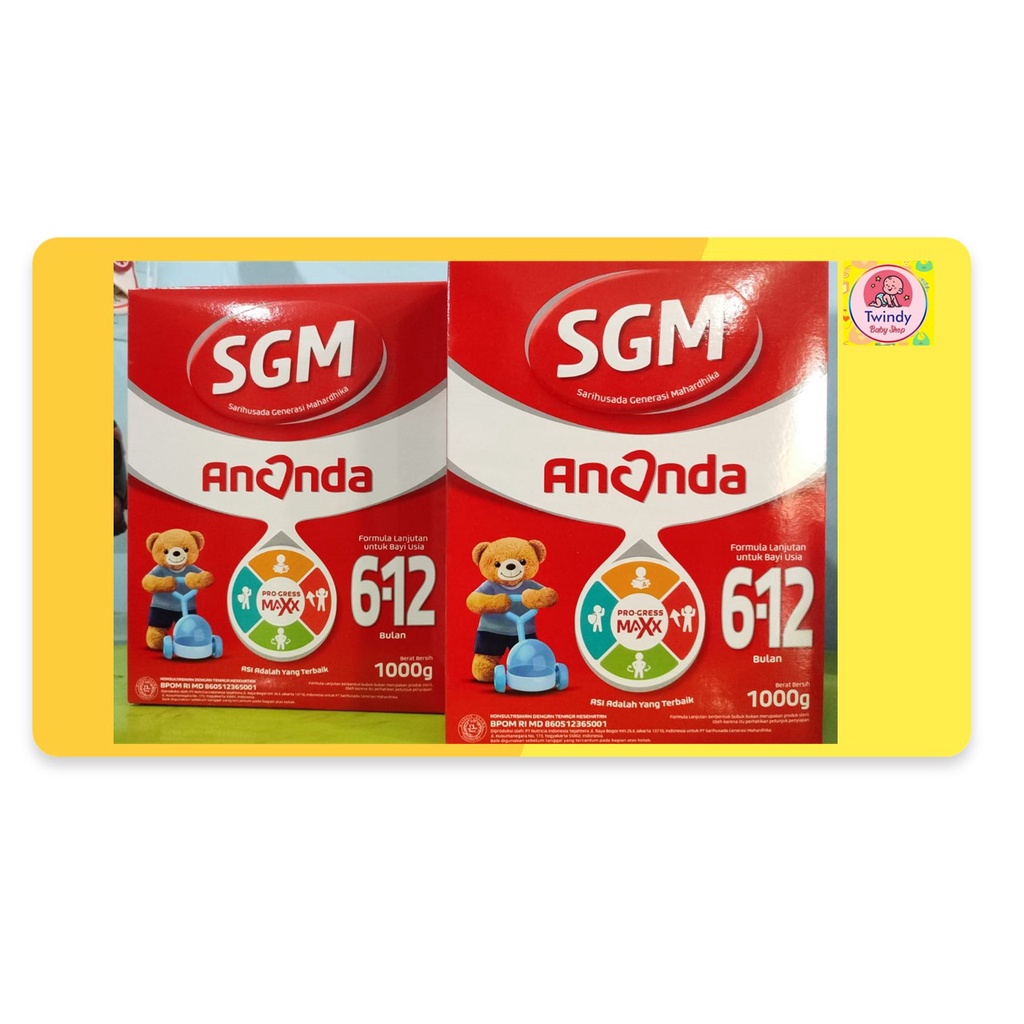 Jual SGM ANANDA 6 12 bulan 1000gram | Shopee Indonesia