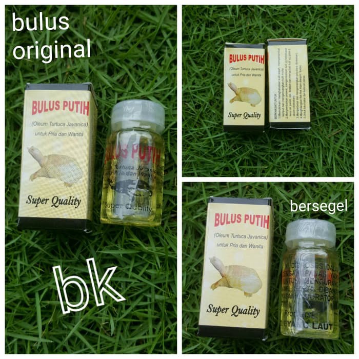 Jual Dijual Minyak Bulus Putih Kemasan DUS + SEGEL BOTOL ori original ...