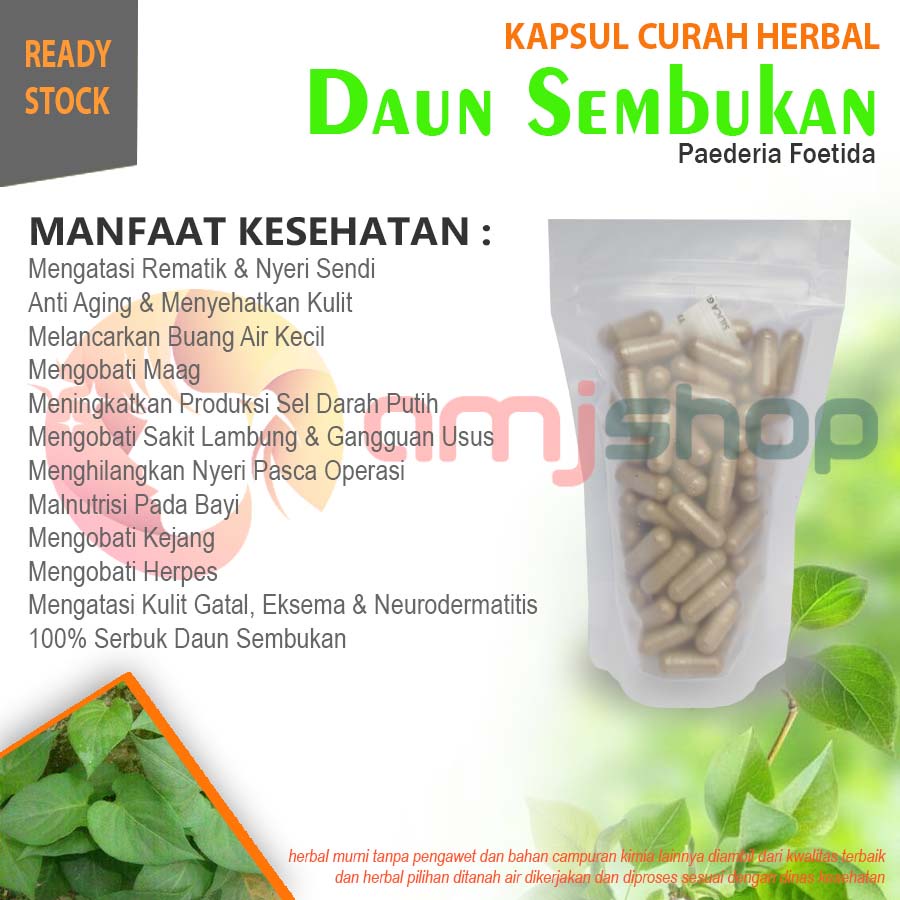 Jual Kapsul curah herbal daun sembukan kapsul herbal rematik nyeri ...