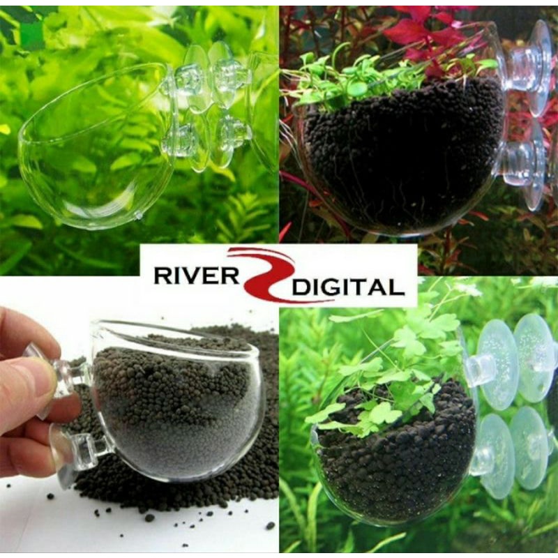Jual Aquscape Pot Glass / Pot Kaca Akuarium Aquarium Media Tanam ...