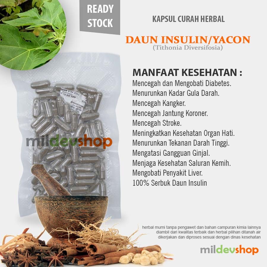 Jual DAUN INSULIN YACON 100 Kapsul Curah Herbal Stroke Diabetes Liver ...
