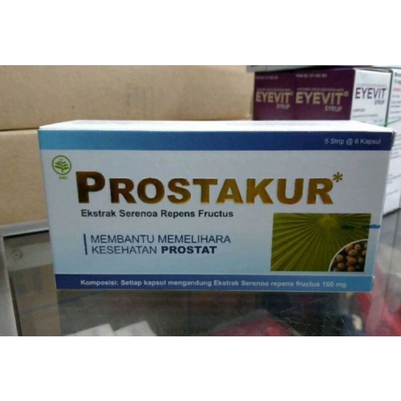 Jual OBAT PROSTAT PROSTAKUR (MEMBANTU MEMELIHARA KESEHATAN PROSTAT ...