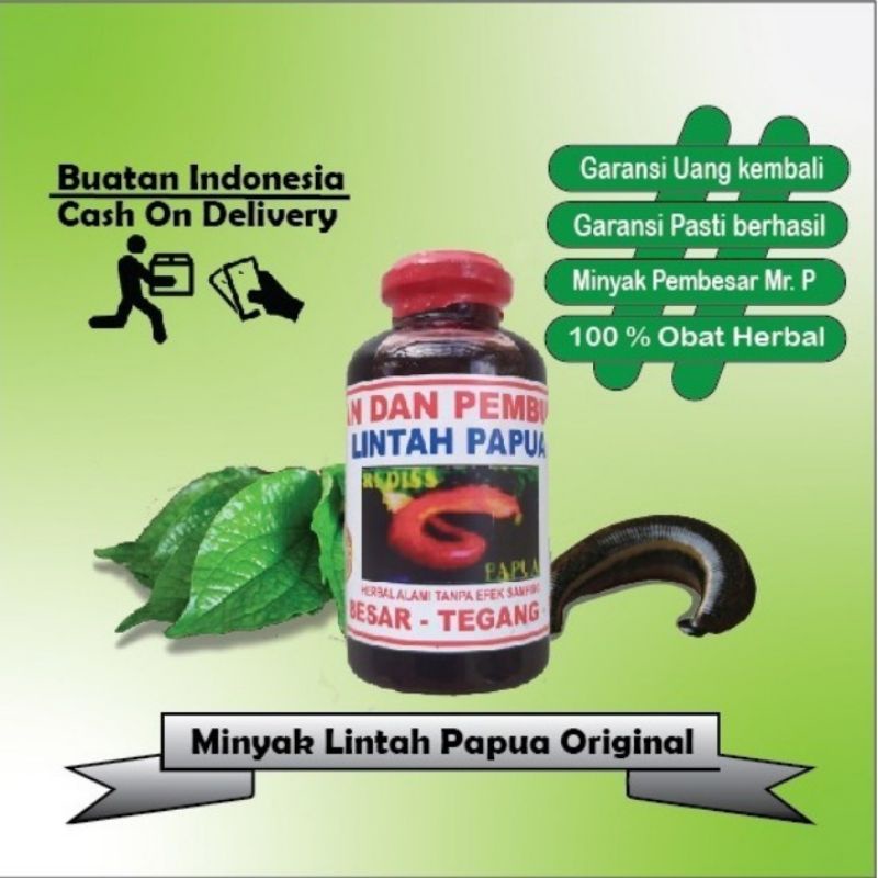 Jual minyak lin papua daun bungkus original | Shopee Indonesia