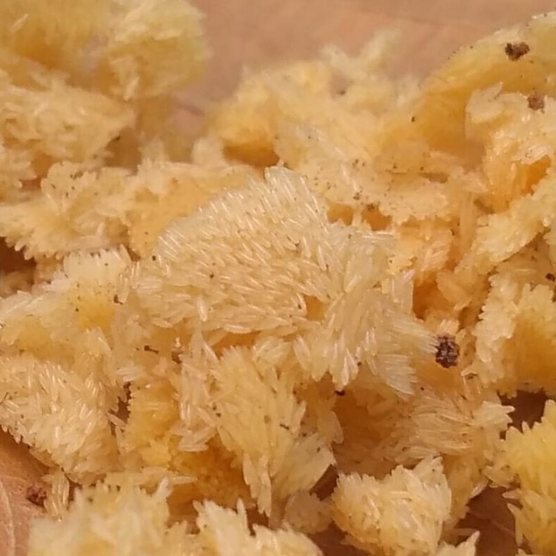 Jual Telur Maggot Bsf Super 10 gram (GARANSI) | Shopee Indonesia