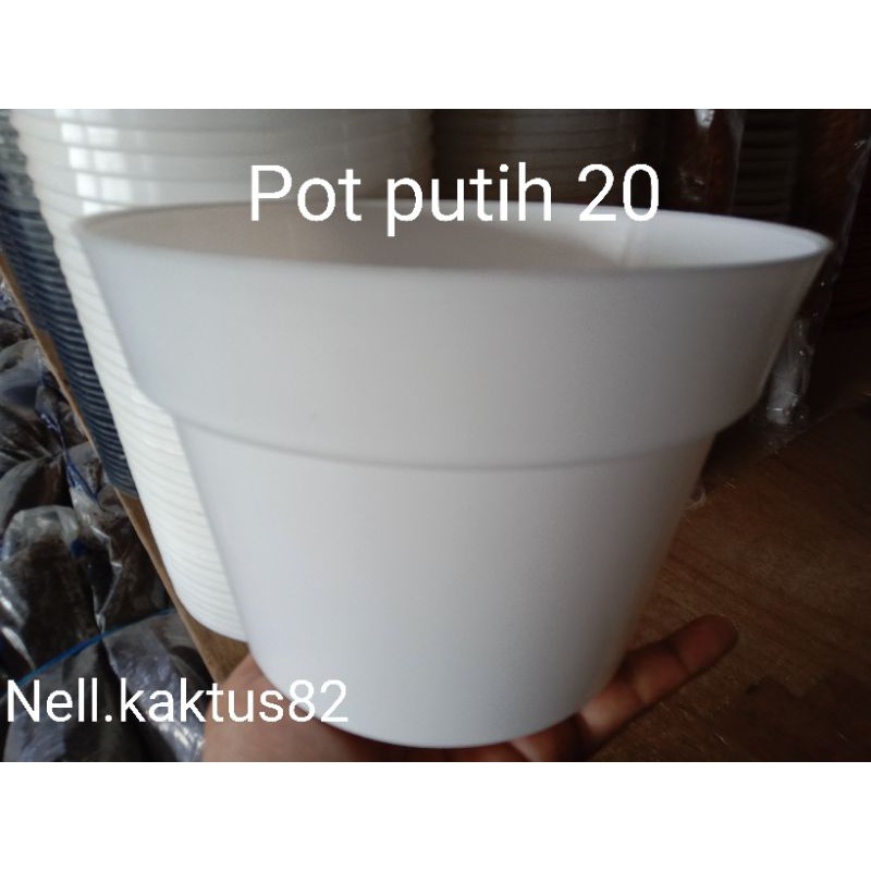 Jual Pot putih 20/pot tanaman/pot murah | Shopee Indonesia